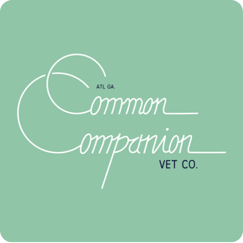 Best Veterinary Clinic In Atlanta, GA | Common Companion